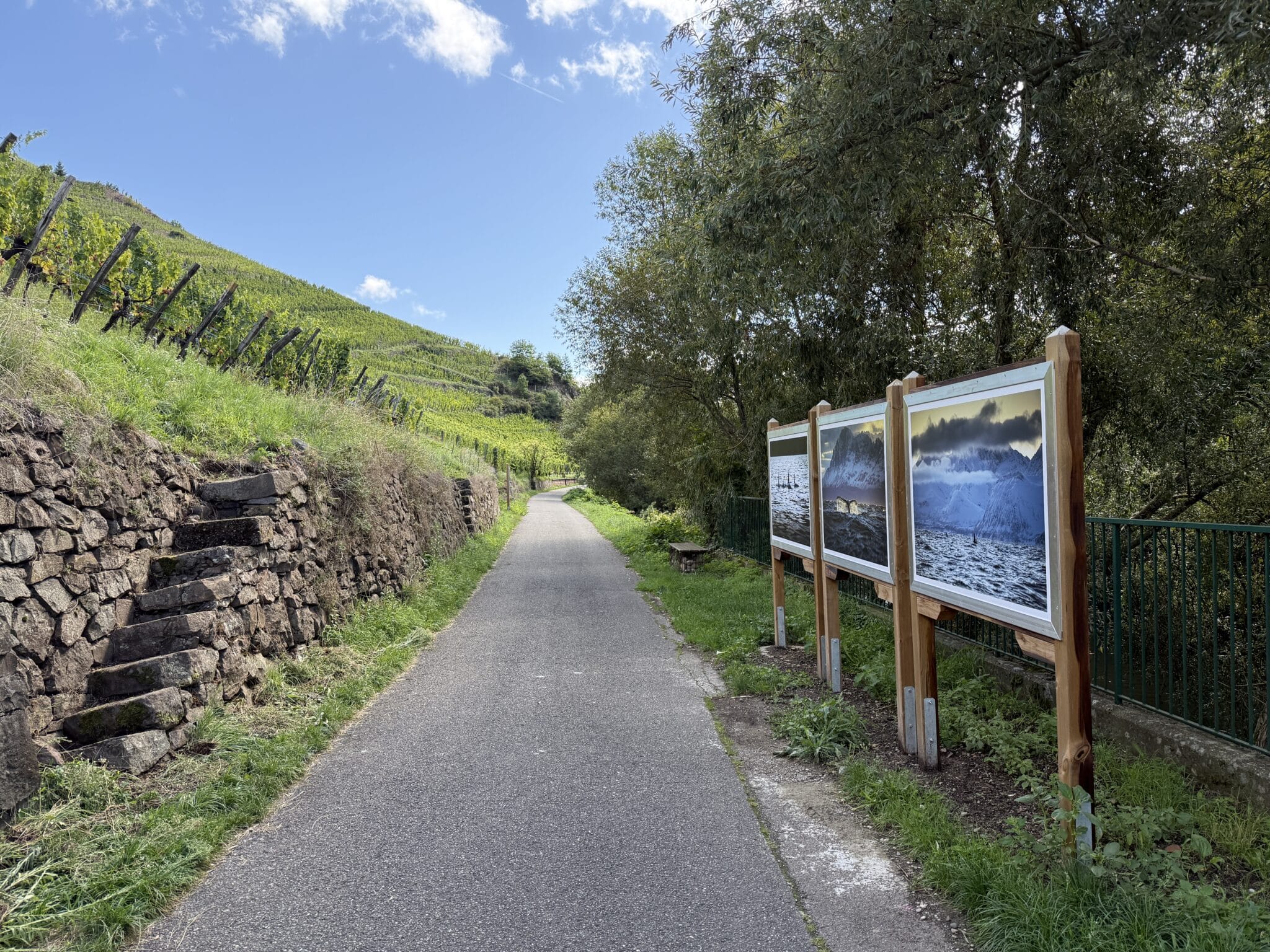 Promenades photographiques du Rangen – Édition Amateurs 2025-2026 ...
